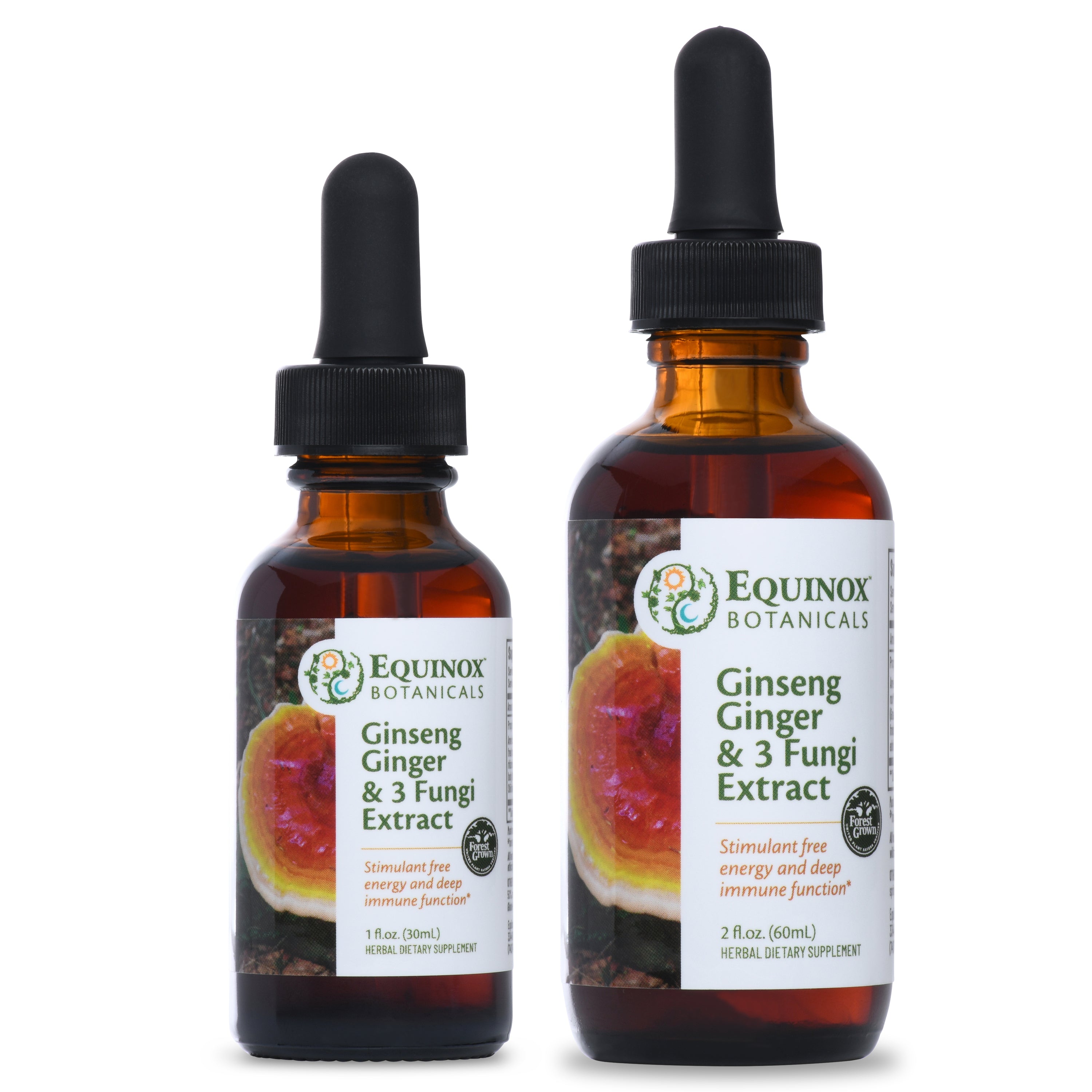 Ginger, Ginseng, and Three Fungi 1 oz & 2 oz – Equinox Botanicals