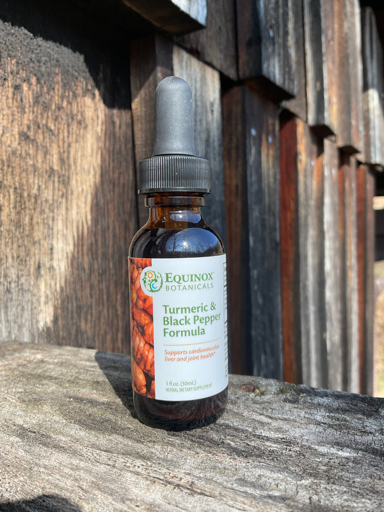 Turmeric & Black Pepper Formula – Equinox Botanicals